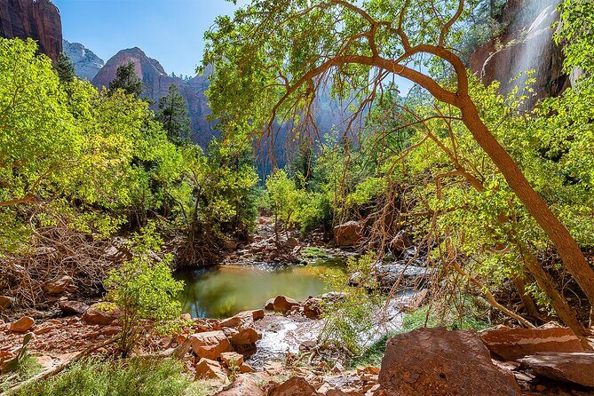 Zion National Park by Tour Trekker - The Sum Up