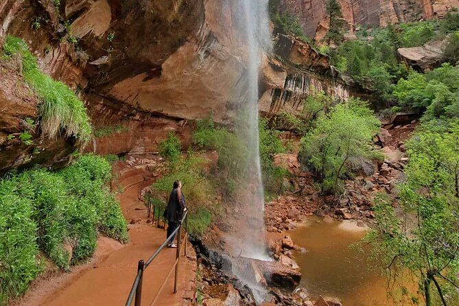 Zion National Park Full-Day Insider Tour - Key Points