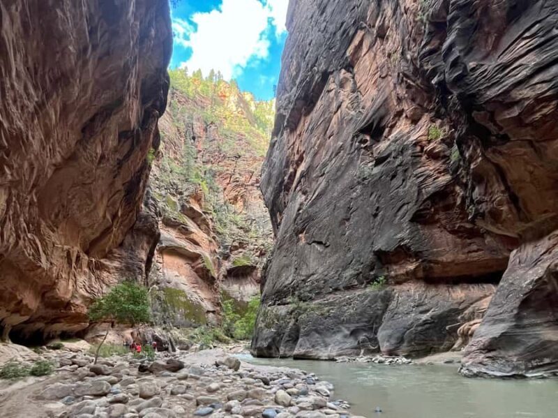 Zion National Park: The Narrows Private Guided Hike - An In-Depth Look at the Experience