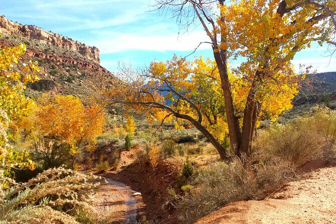 Zion UTV Morning Tour - Authentic Perspectives from Travelers