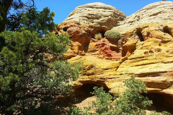 Zion UTV Morning Tour - Cost and Value