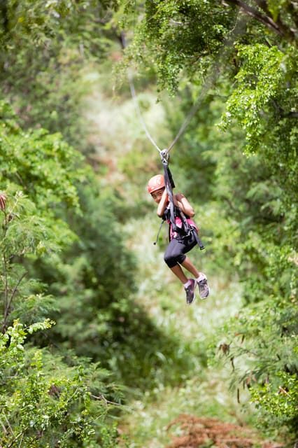 Zip & Dip: 3 Ziplines + Wet 'n' Wild Hawaii Waterpark - The Sum Up