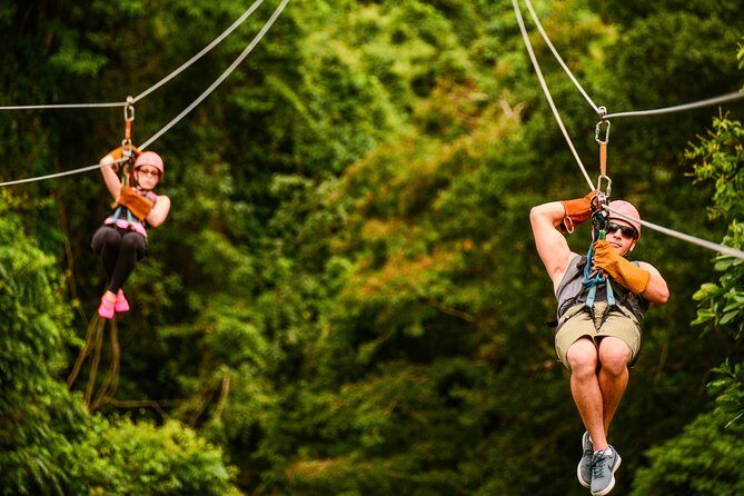 Zip Line Adventure from Punta Cana (Half Day) - What to Expect from the Itinerary