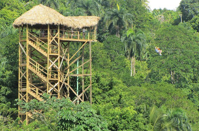 Zip Line Adventure from Punta Cana (Half Day) - Pricing and Value