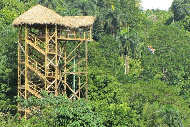 Zip Line Adventure from Punta Cana (Half Day) - The Sum Up: Who Should Consider This Tour?