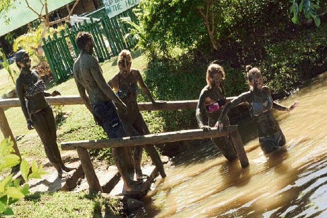 Zip line Fiji ex Fiji Marriot w/private transfer dropoff Nadi Airport or resort - Who Should Consider This Tour