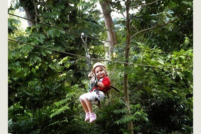 Zip Line - Half Day Adventure - Price and Value
