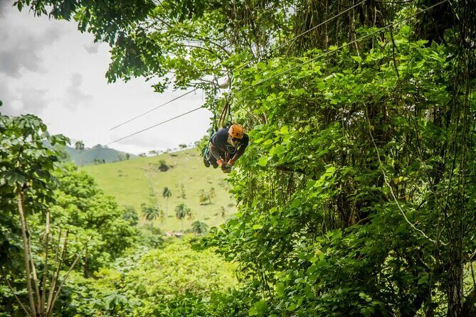 Zip Line in Punta Cana - Practicalities: Pricing, Duration, and Booking