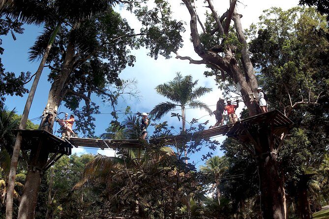 Zip Line over the Dunns River Falls - The Convenience and Personal Touch
