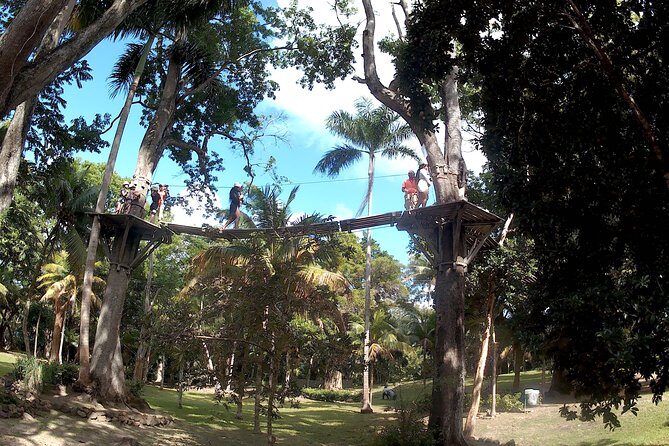 Zip Line over the Dunns River Falls - Authentic Reviews: What Travelers Are Saying