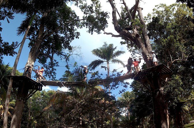 Zip Line over the Dunns River Falls - The Sum Up