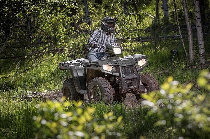 Zip-lining/Horseback Rides/Cat & Atv Inclusive Act with Transpo From Montego Bay - A Complete Breakdown of the Tour