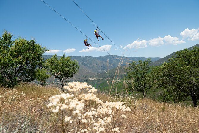 Zip Zoom Ziplines at La Jolla Indian Adventure Park - Final Thoughts