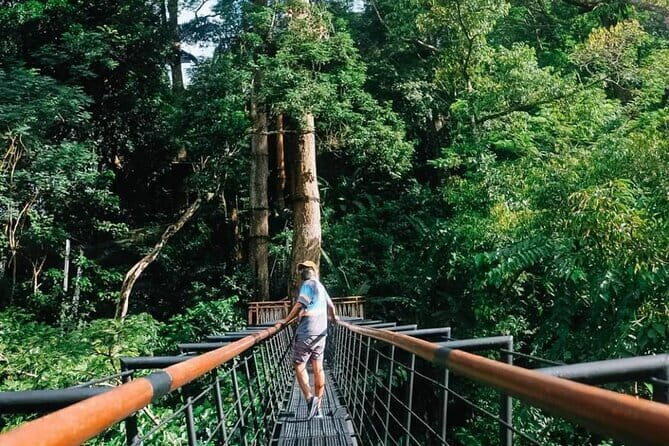 Zipline 10 Platforms at Hanuman World - What to Expect: An In-Depth Look into the Ultimate Forest Flight