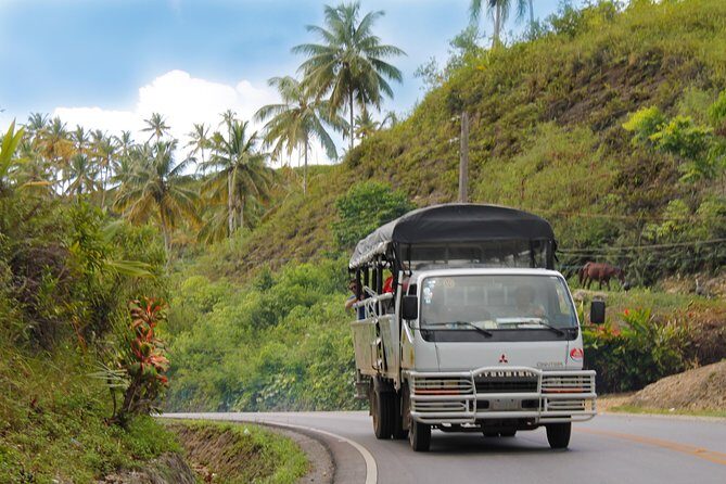 Zipline Adventure in El Limón - What to Expect on Your Zipline Adventure