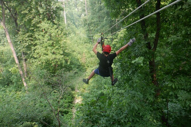 Zipline Adventure in Galena, Illinois - Why This Tour Is Worth Considering