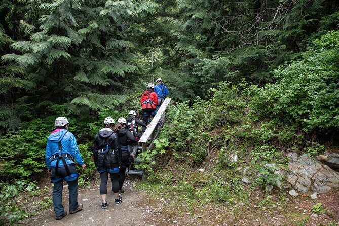 Zipline Adventure in Whistler - Is It Worth the Cost?
