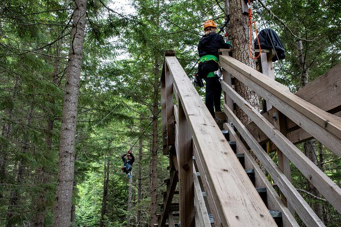 Zipline Adventure in Whistler - The Logistics and Practicalities