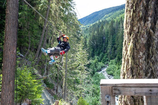 Zipline Adventure in Whistler - Authentic Review Insights