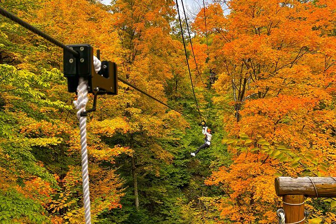 Zipline Canopy Activity Admission at Bristol Mountain - An Inside Look at Bristol Mountain’s Zipline Canopy Tour