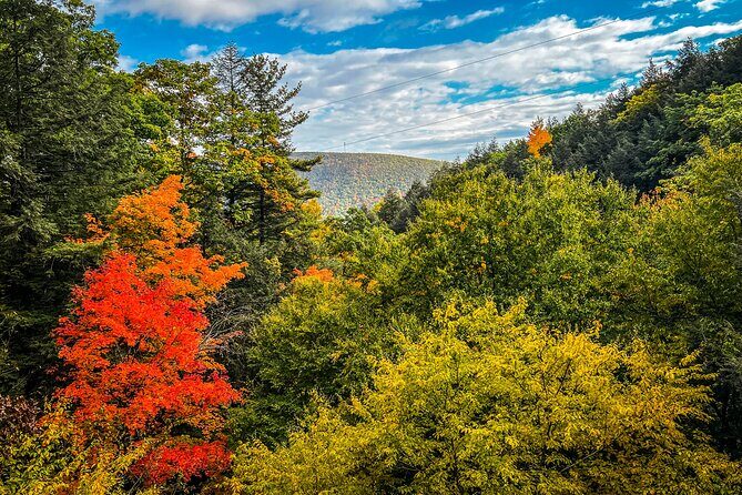 Zipline Canopy Activity Admission at Bristol Mountain - Who Will Love This Tour?