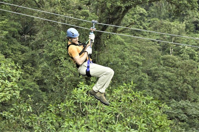 Zipline Canopy & Dunn's River Falls Guided Tour with Admission from Falmouth - Who Will Love This Tour?
