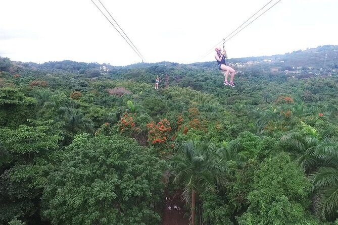 Zipline Canopy Tour with Transport from San Juan - Exploring the Zipline Canopy Tour with Transport from San Juan