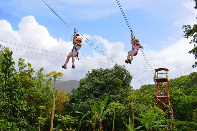 Zipline Canopy Tour with Transport from San Juan - Key Points