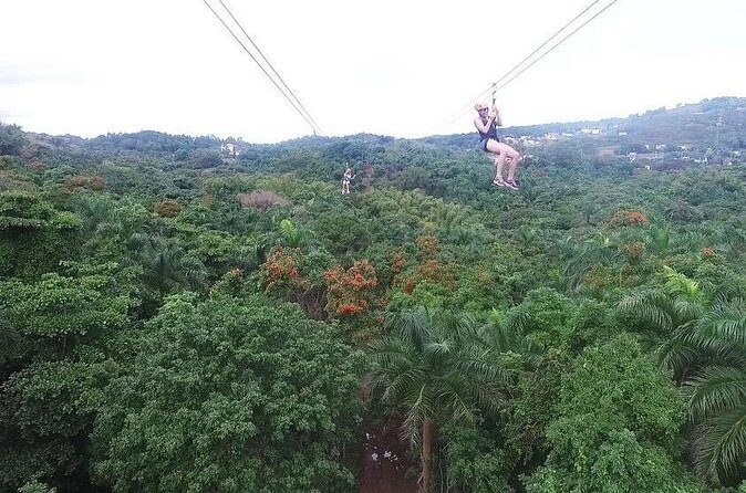 Zipline Canopy Tour with Transport from San Juan - The Potential Drawbacks