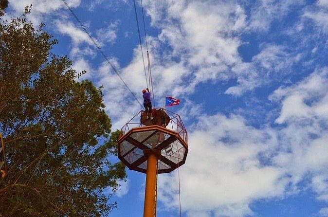 Zipline Canopy Tour with Transport from San Juan - Final Thoughts