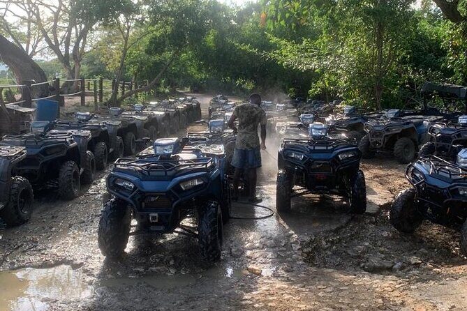 Zipline, Horseback Ride, ATV and Catamaran from Montego Bay - The Sum Up