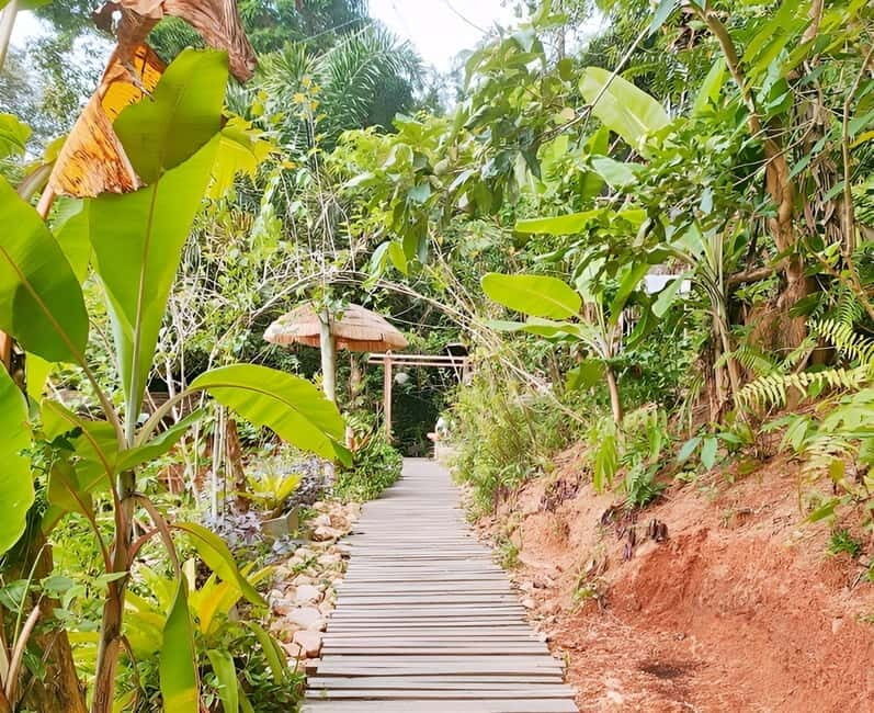 Zipline in Koh Samui Adventure activity tour - Authentic Traveler Feedback