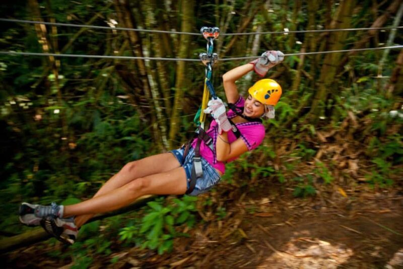 Zipline Over The dunns River Falls - Key Points