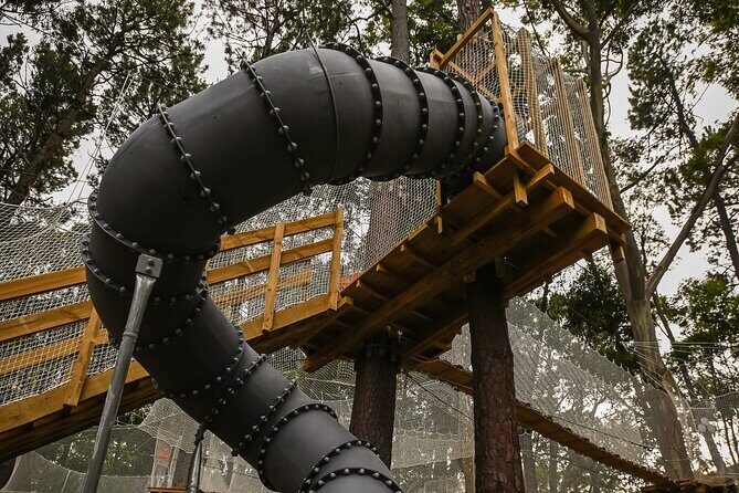 Zipline over the Heysen Trail & Through the Pines of Kuitpo - What to Expect from Your Kuitpo Forest Adventure