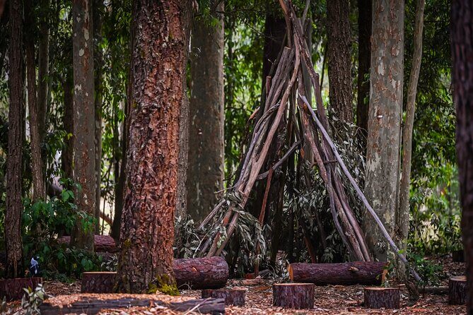 Zipline over the Heysen Trail & Through the Pines of Kuitpo - FAQs