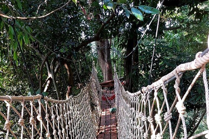 Zipline Ride on Koh Samui - Who Will Enjoy This Tour?