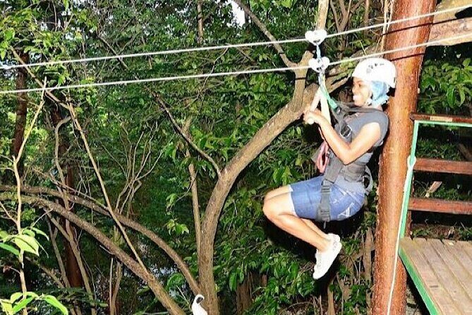 Zipline Thriller Adventure Tour (Private) (Admission Not Included) - Who Should Consider This Experience?