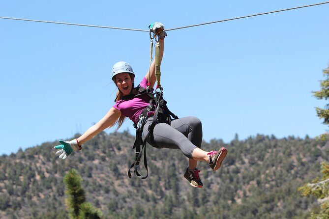 Zipline Tour - 9 high-speed ziplines & fun suspension bridge - Introduction: A High-Flying Adventure Awaits in Big Bear