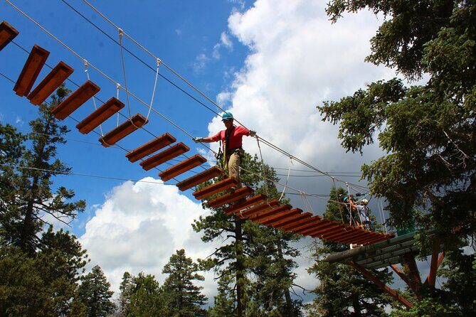 Zipline Tour - 9 high-speed ziplines & fun suspension bridge - Return & Post-Tour