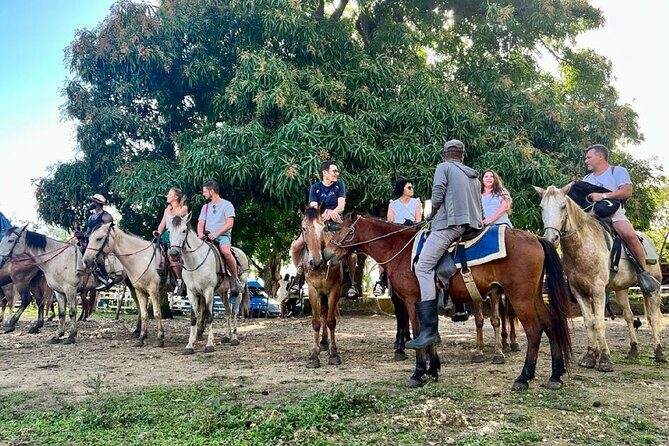 Zipline,Dune Buggy,Horse Riding - FAQ
