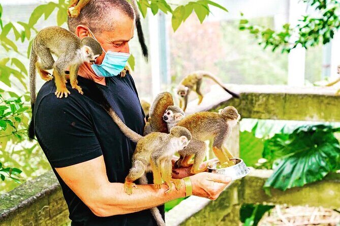 Ziplines Jungle Day Combo Tour - Deep Dive into the Experience