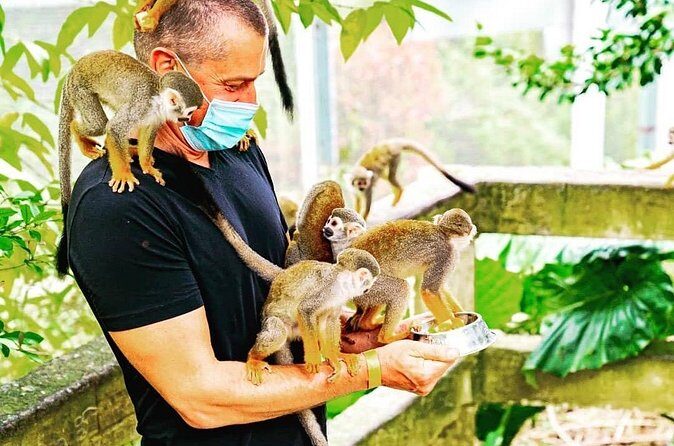 Ziplines Jungle Day Combo Tour - The Sum Up