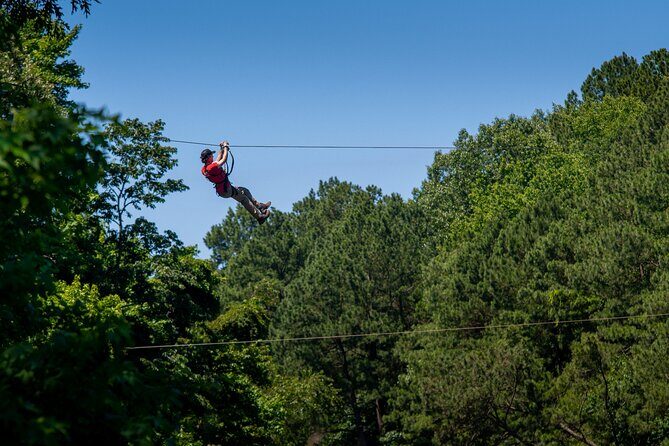 Ziplining and Climbing at The Adventure Park at Virginia Aquarium - Ziplining and Climbing at The Adventure Park at Virginia Aquarium