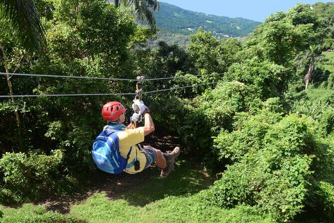 Ziplining at the Rainforest in Puerto Rico - The Experience: What to Expect from Puerto Rico’s Rainforest Ziplining Tour