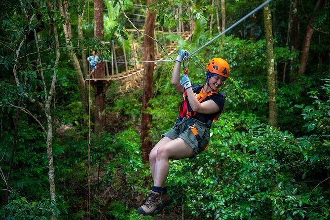Ziplining Cape Tribulation with Treetops Adventures - What is the Tour All About?