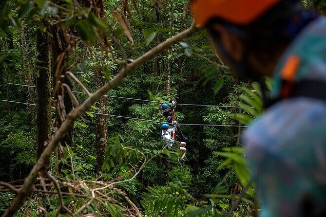 Ziplining Cape Tribulation with Treetops Adventures - The Guides: Knowledge, Safety, and Support