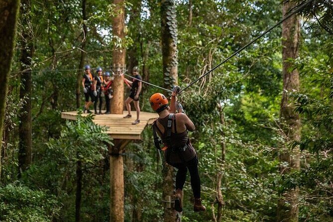 Ziplining Cape Tribulation with Treetops Adventures - Final Thoughts