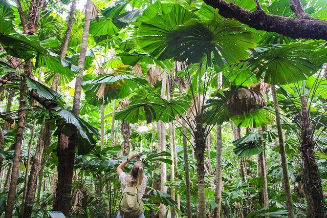 Ziplining Cape Tribulation with Treetops Adventures - Frequently Asked Questions