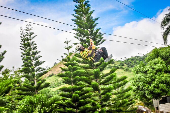 Ziplining in YS Falls and Black River Safari Private Tour - Key Points