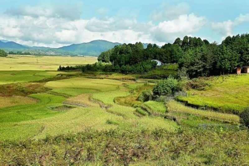 Ziro in a Day: Culture, Craft & Countryside Adventure Tour - Scenic Overlooks: Ziro Puto and Kile Pakho